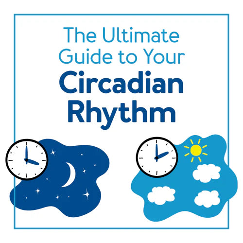 Circadian Rhythm: What is it? [Plus 6 Ways to Fix Yours]– Carex