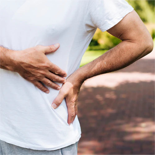 Hip Flexor Strain: Injury Overview - Everything You Need to Know– Carex