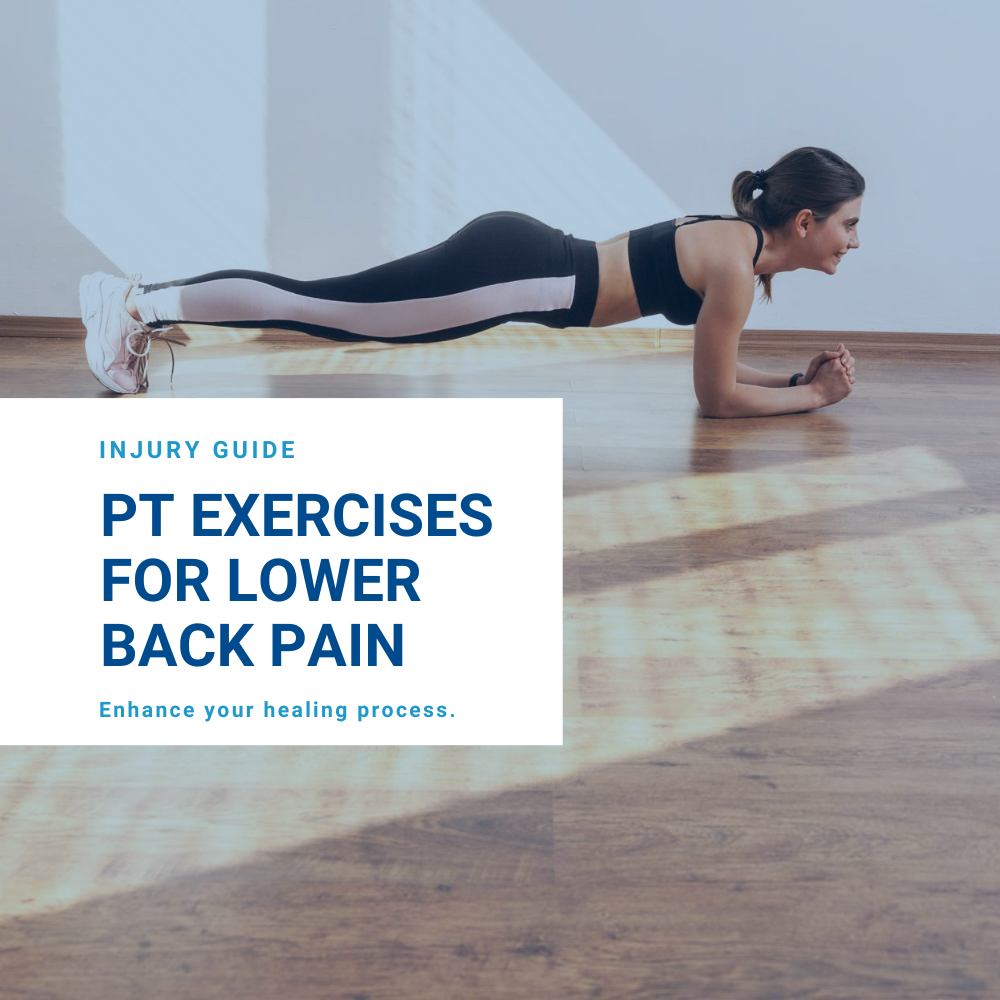 14 PT Exercises for Lower Back Pain (with videos + instructions)– Carex